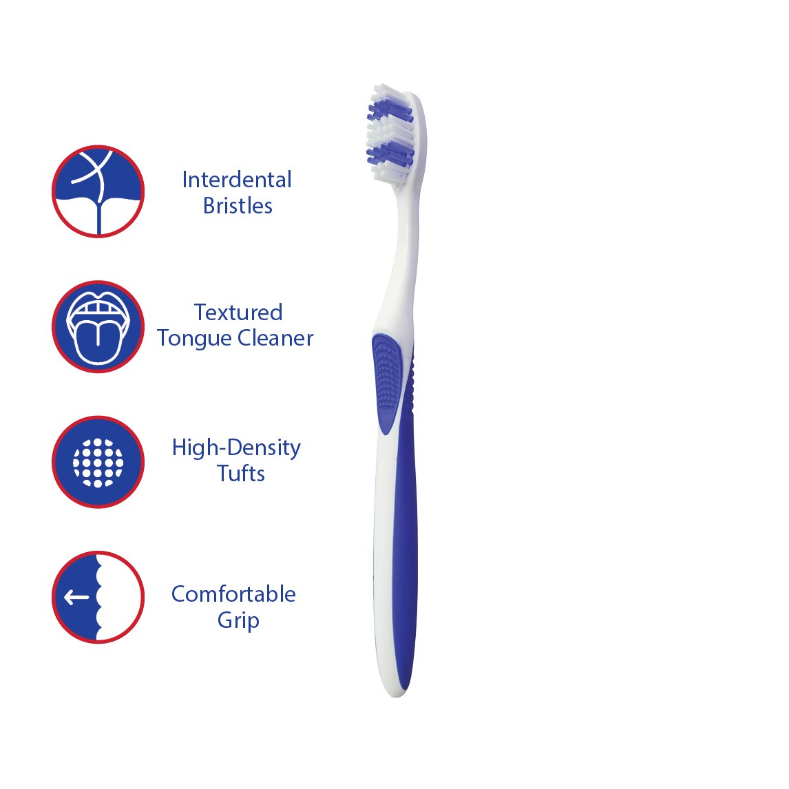 Easy Clean All In One Toothbrush - Blue|Table Charm Direct